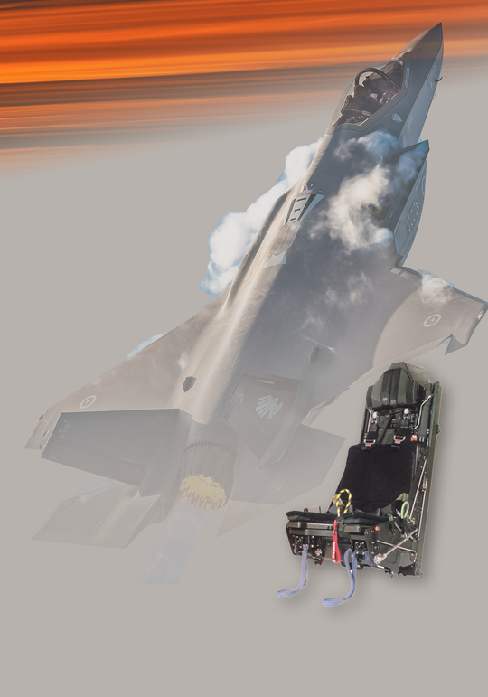 Life Support International, Inc.- Solutions For Survival